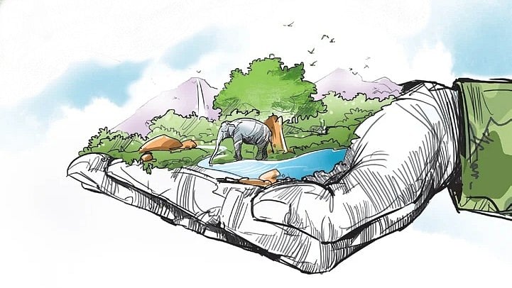 2025 mixed year for wildlife conservation amid rising conflicts, forest ...